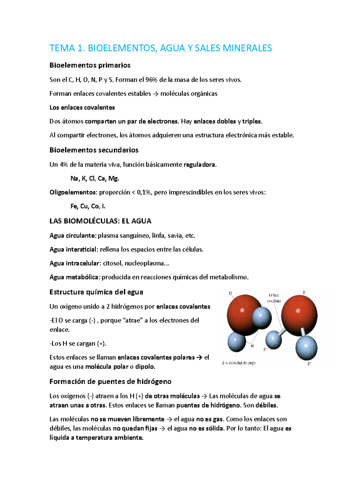 TEMA 1 - errer - TEMA 1. BIOELEMENTOS, AGUA Y SALES MINERALES Bioelementos primarios Son el C, H ...