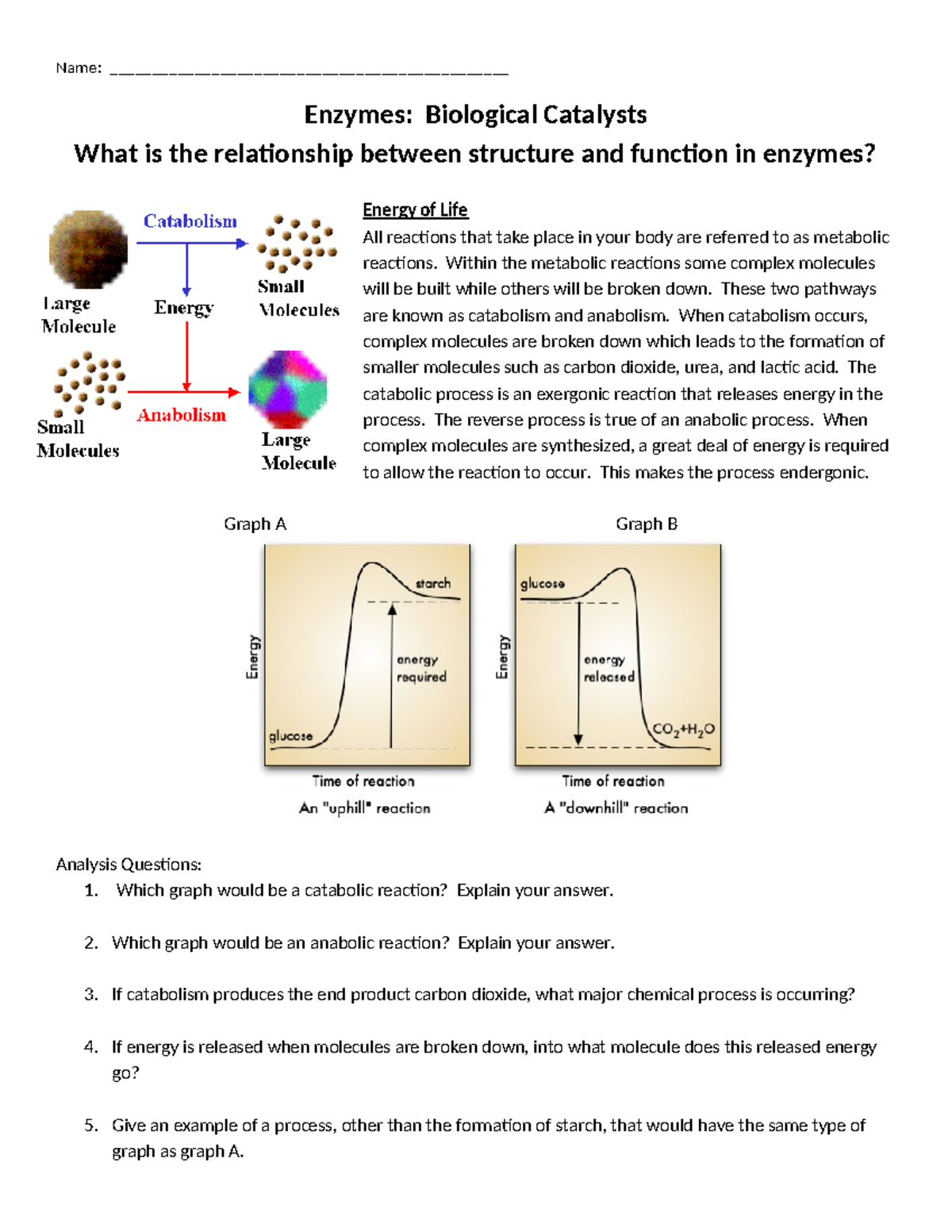 Enzyme pogil - Chemistry hw - Name ...