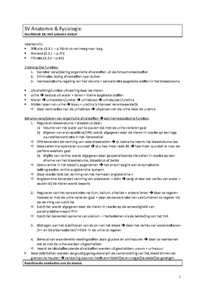 Ossa pedis - samenvatting botten de voet - Anatomie ossa pedis Pes ...