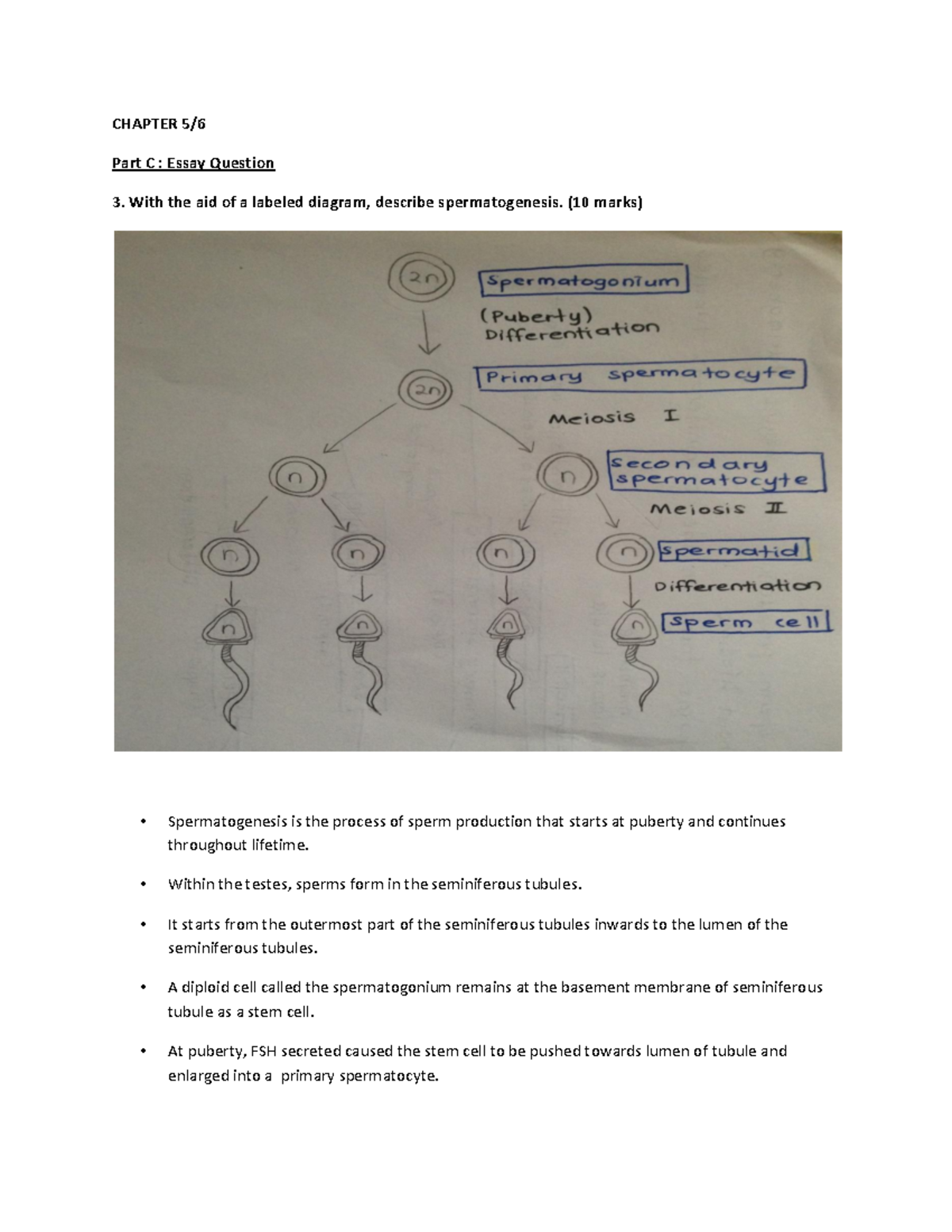 Chapter 5-6 - CHAPTER 5/ Part C : Essay Question 3. With the aid of a ...