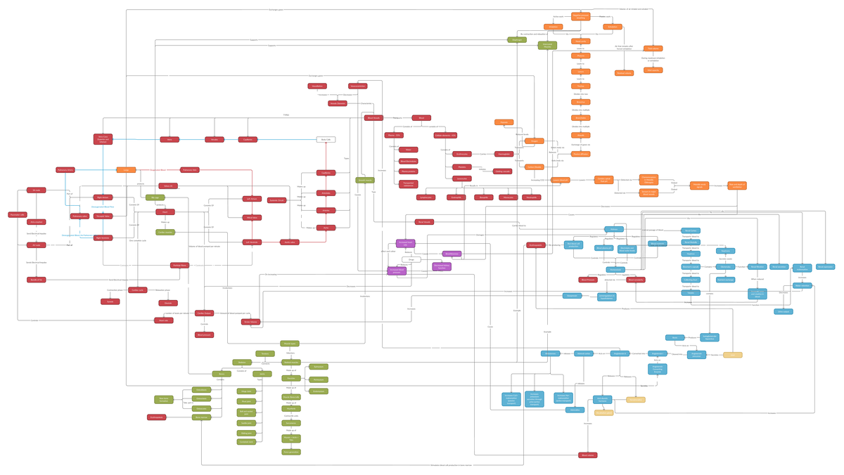 Integration practical - Heart Right Ventricle Left Ventricle Left ...