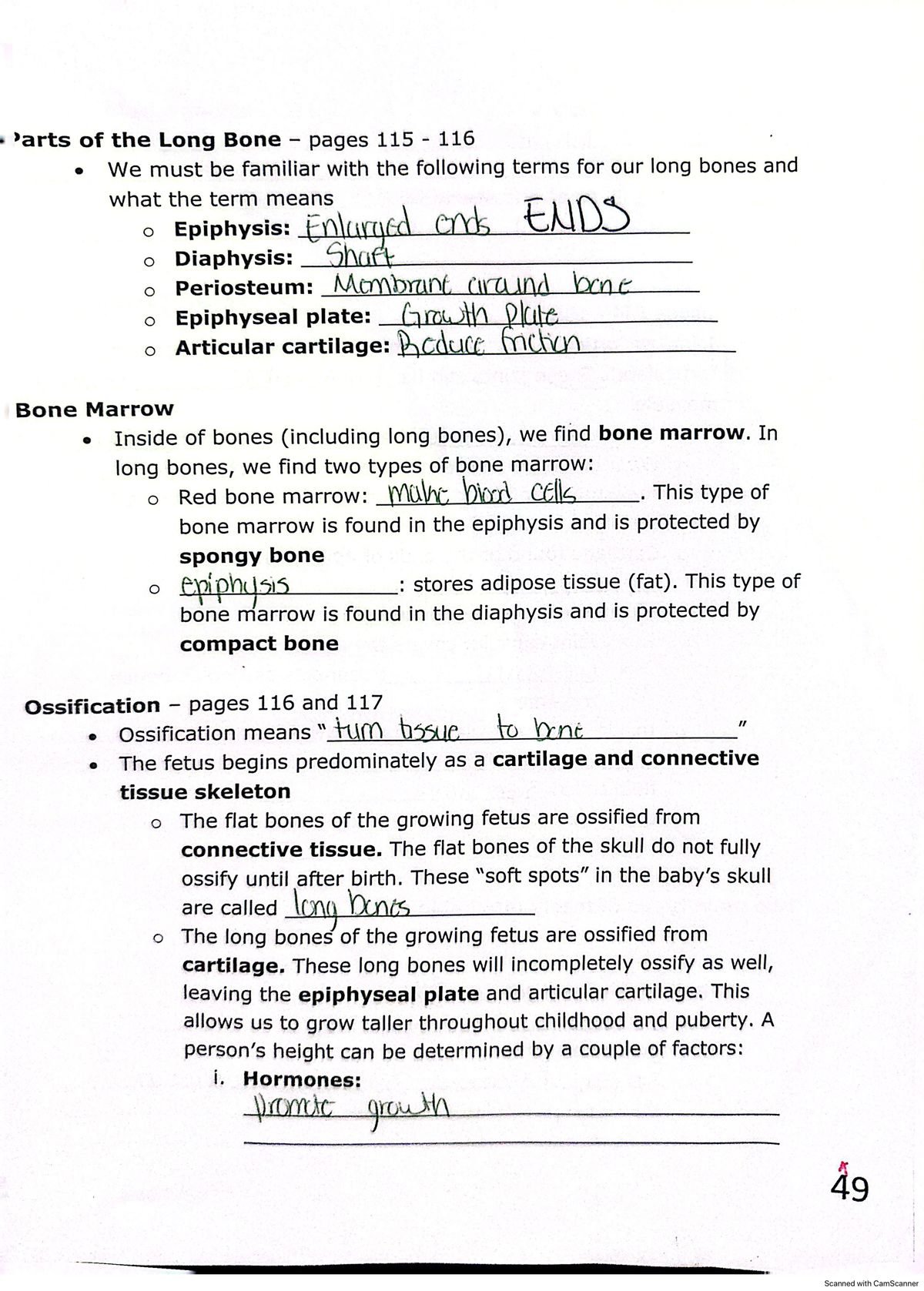 Oca 2 week 4 - oca 2 week 4 - arts of the Long Bone pages 115 116 We must be familiar with the ...