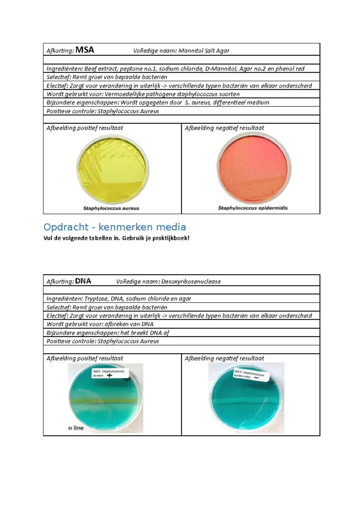 Opdracht kenmerken media - Afkorting: MSA Volledige naam: Mannitol Salt ...