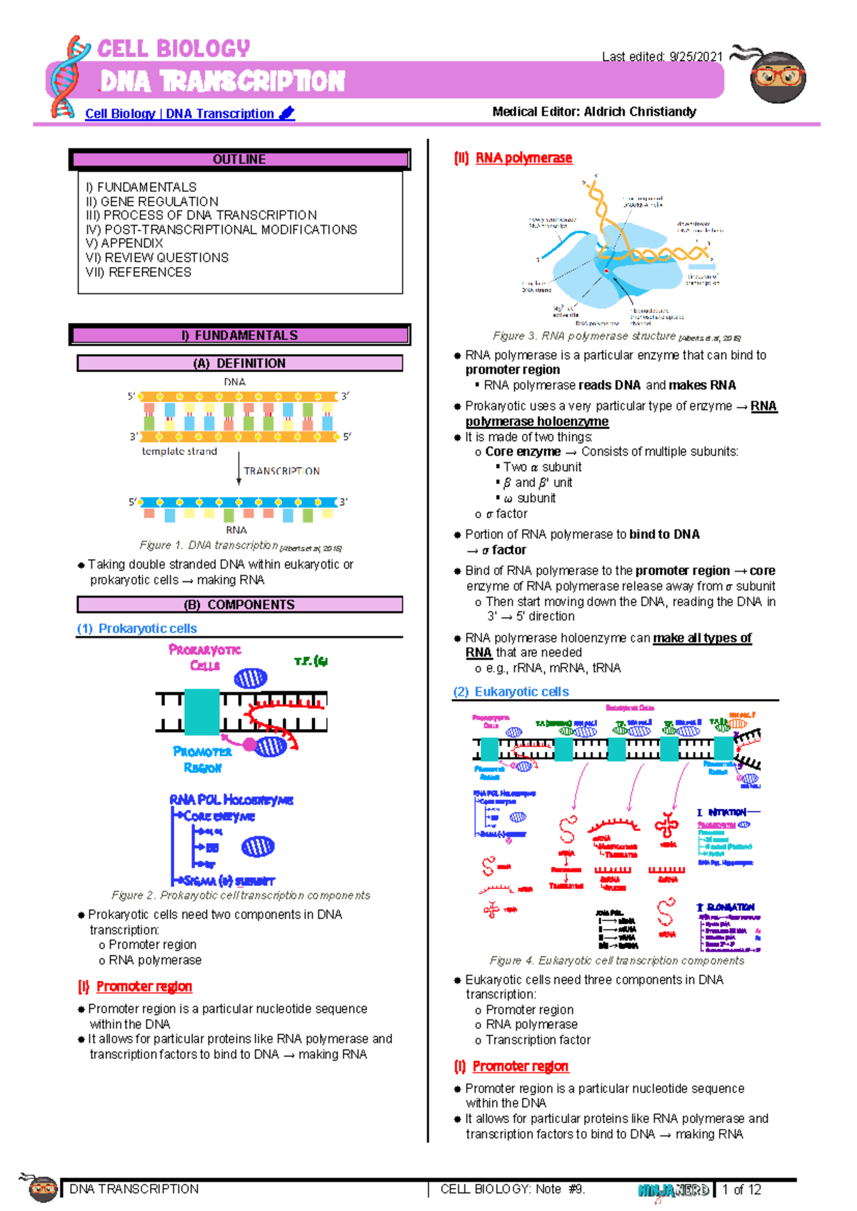 DNA Transcription - DNA TRANSCRIPTION CELL BIOLOGY: Note #9. 1 of 12 9 ...