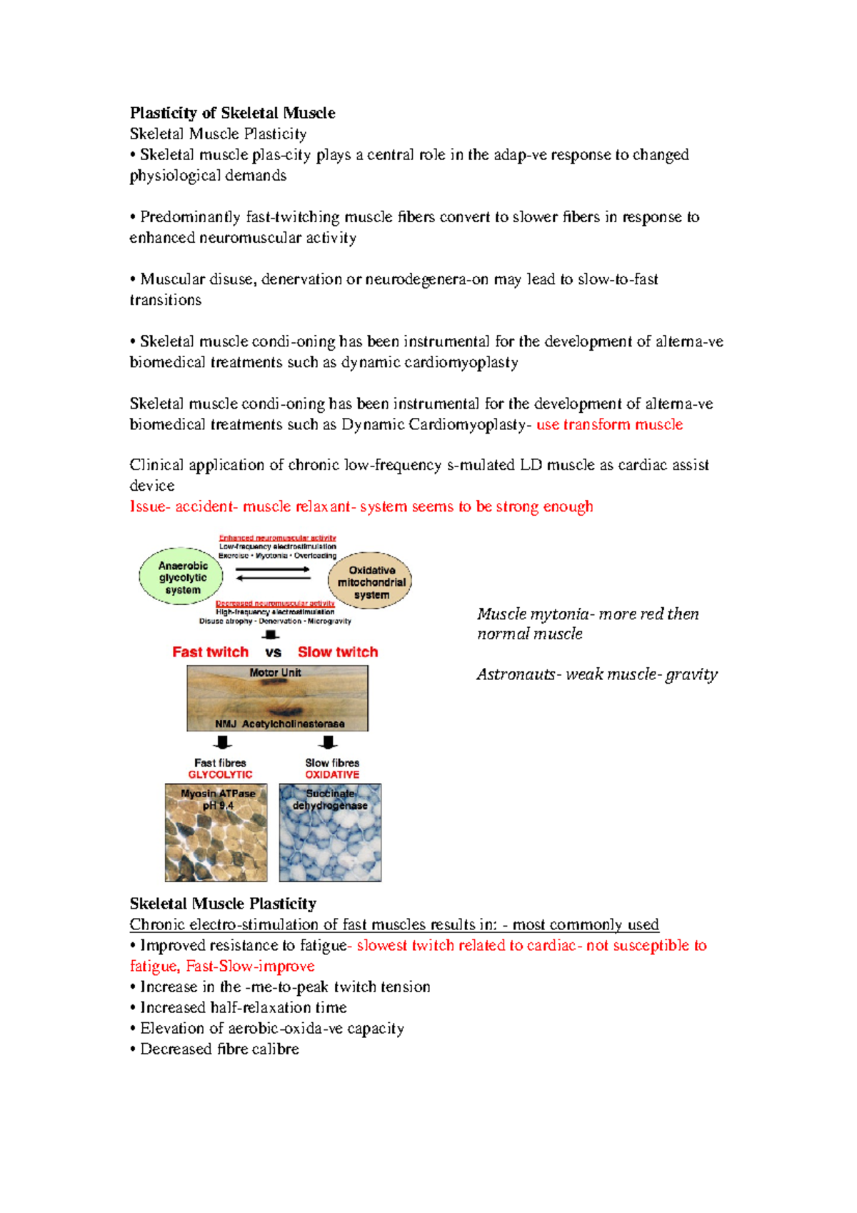 Lecture 5 - Plasticity of Skeletal Muscle Skeletal Muscle Plasticity ...