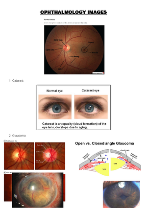 Tachycardia Algorithm 2021 - Adult tachycardia If ineffective ...