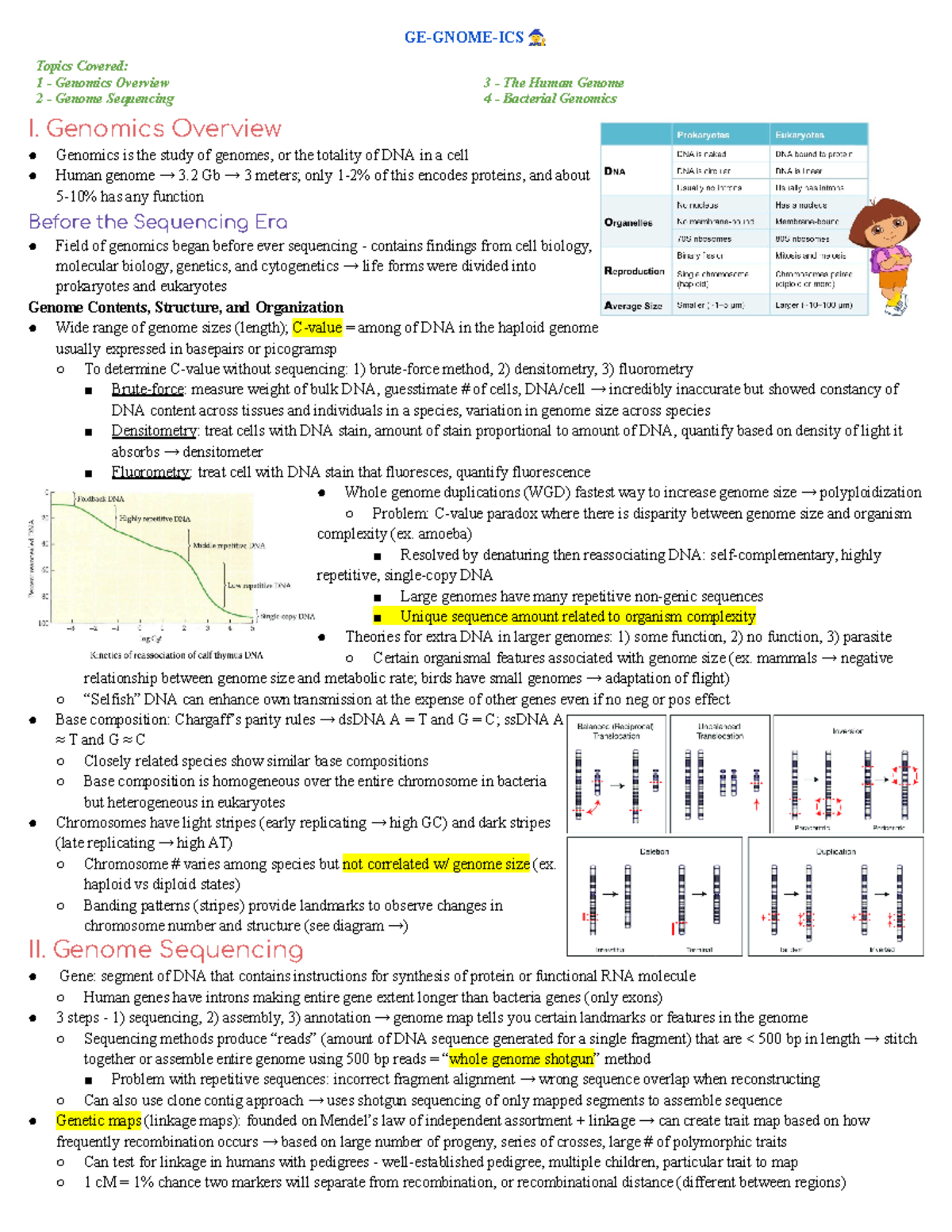 Genomics+Midterm+Study+Guide%5B82%5D - GE-GNOME-ICS 🧙 Topics Covered: 1 ...