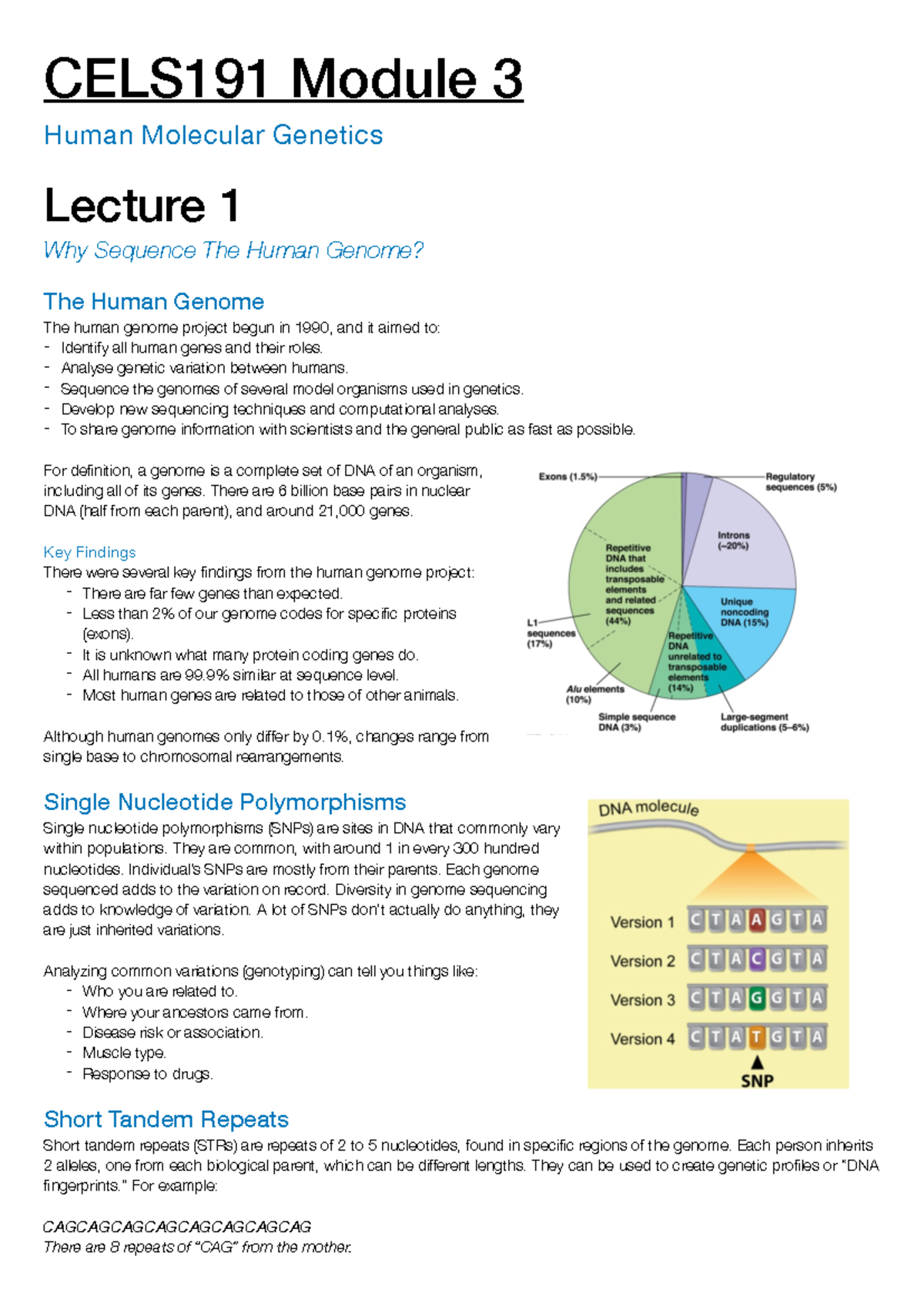 CELS191 Module 3 - Human Molecular Genetics (Notes) - CELS191 Module 3 ...