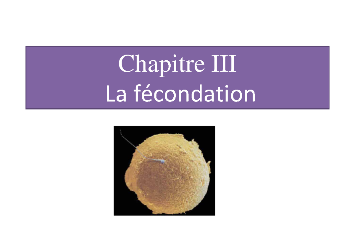 Chapitre III La fécondation - Chapitre III La fécondation La ...
