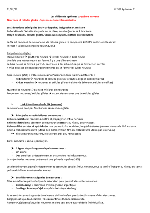 CM1 Système Nerveux Central - LE SYSTEME NERVEUX CENTRAL (SNC) I I ...