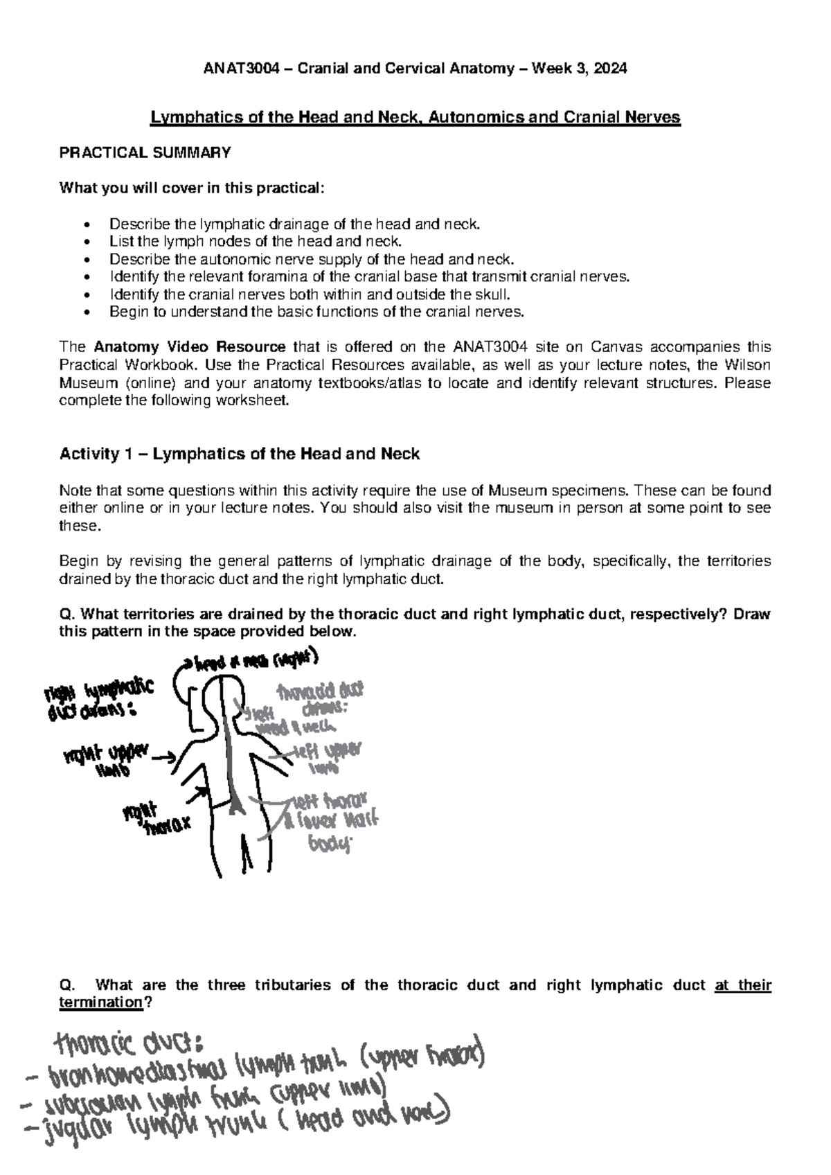 W3 Practical Worksheet Lymphatics + Cranial Nerves Student 2024 ...