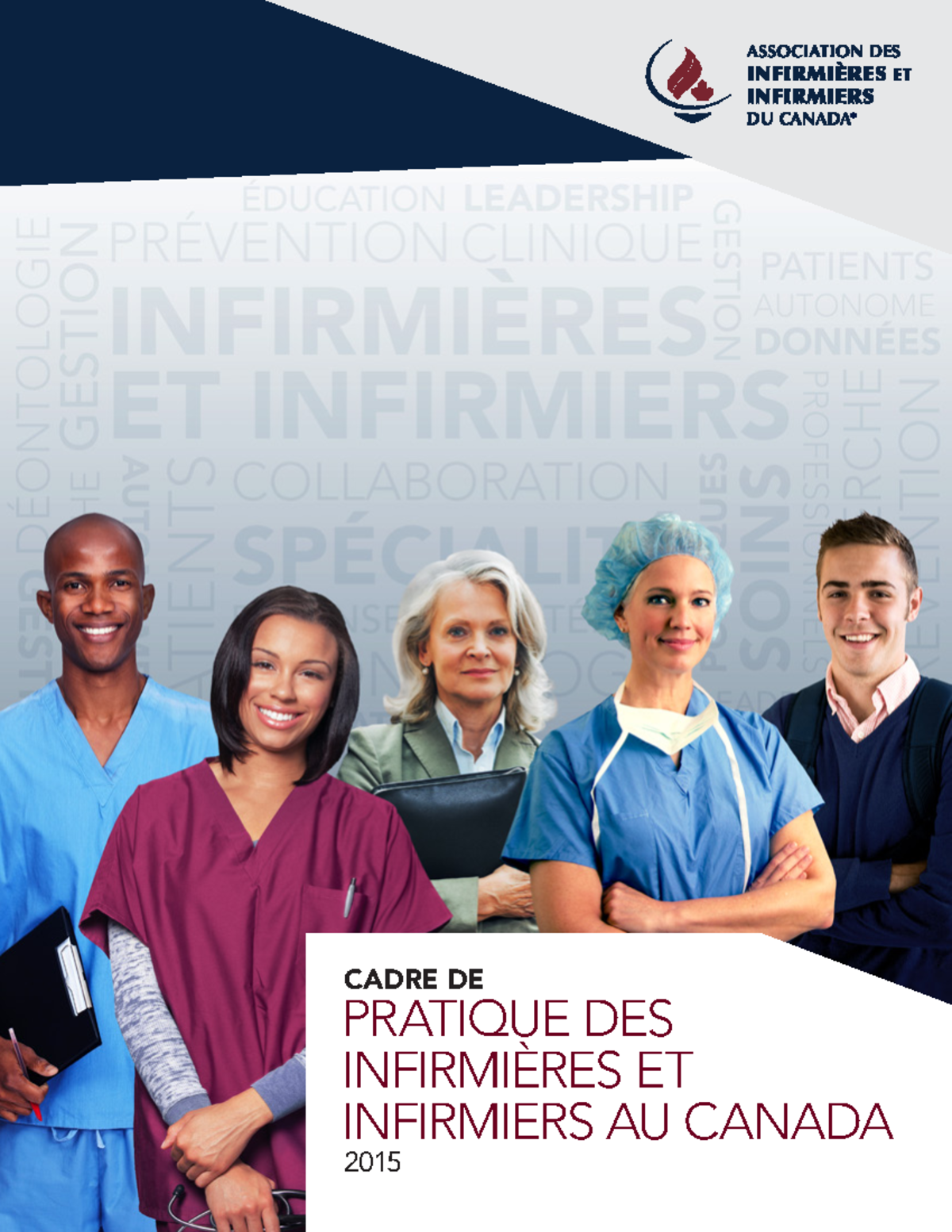 Cadre de pratique des infirmieres et infirmiers au Canada - CADRE DE ...