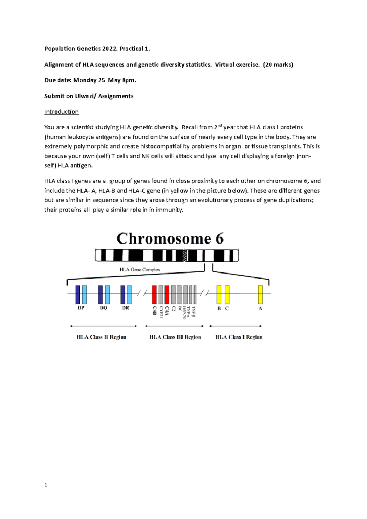 Practical 1: Alignment of HLA sequences and genetic diversity ...