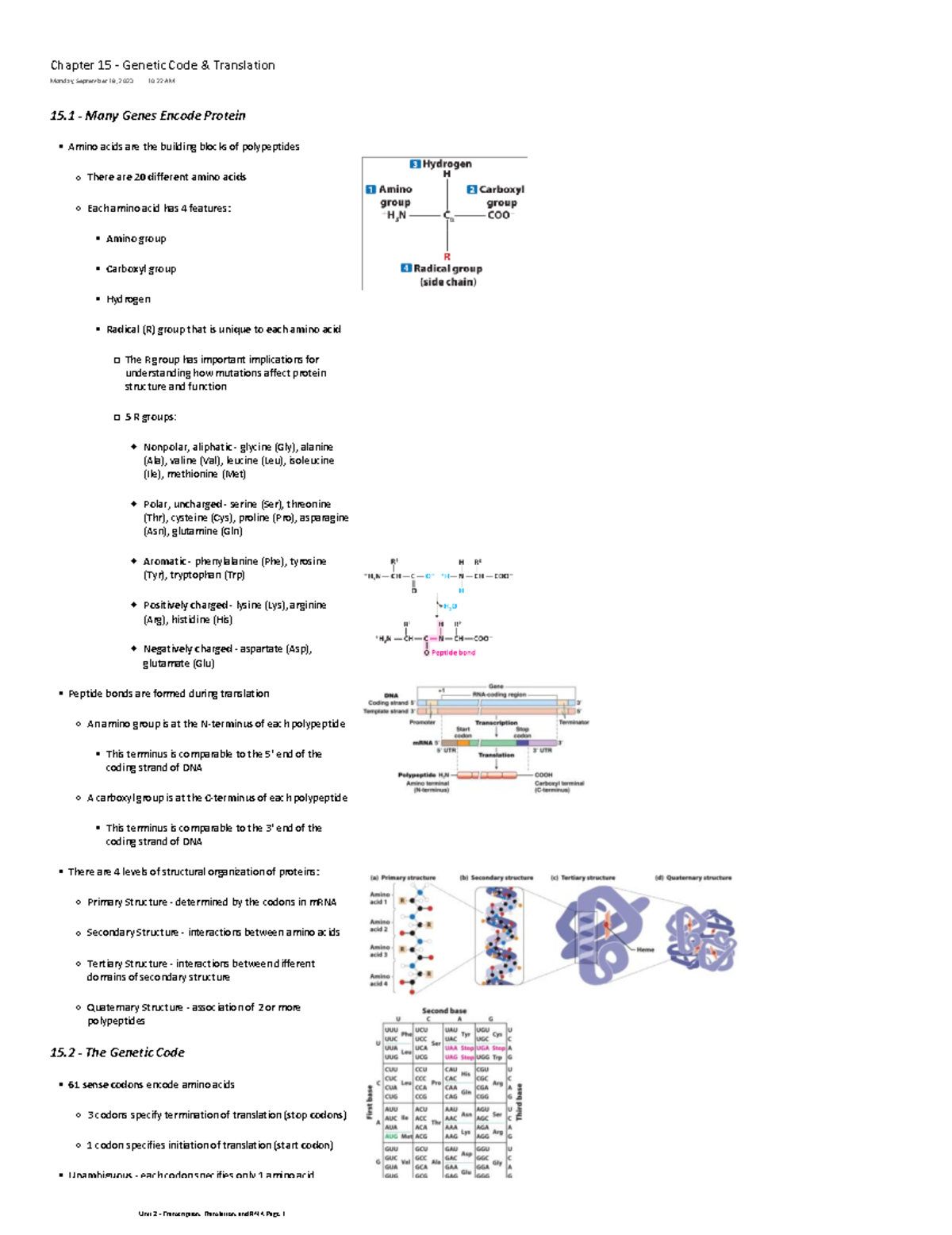 Chapter 15 - Genetic Code & Translation - 15 - Many Genes Encode ...