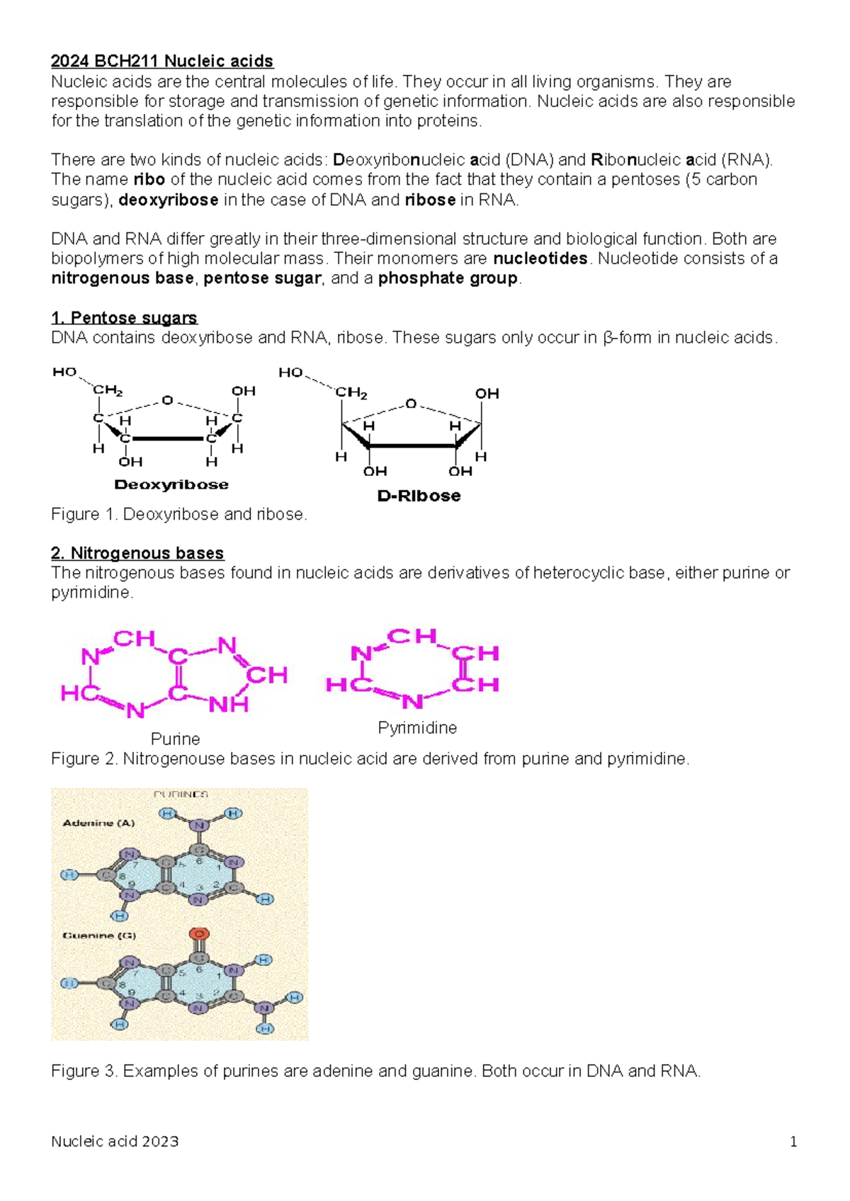 2024 BCH211 Nucleic Acids Chapter 6 - 2024 BCH211 Nucleic acids Nucleic acids are the central ...