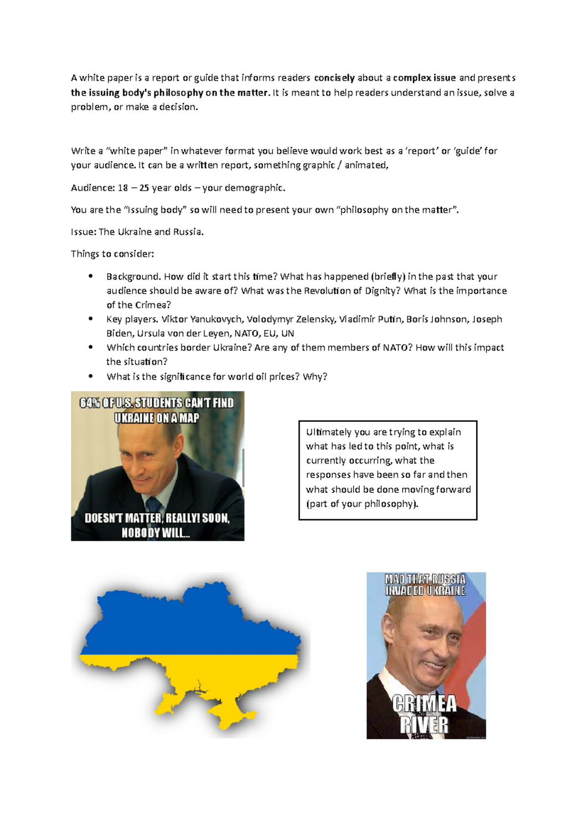 Ukraine white paper exercise - A white paper is a report or guide that ...