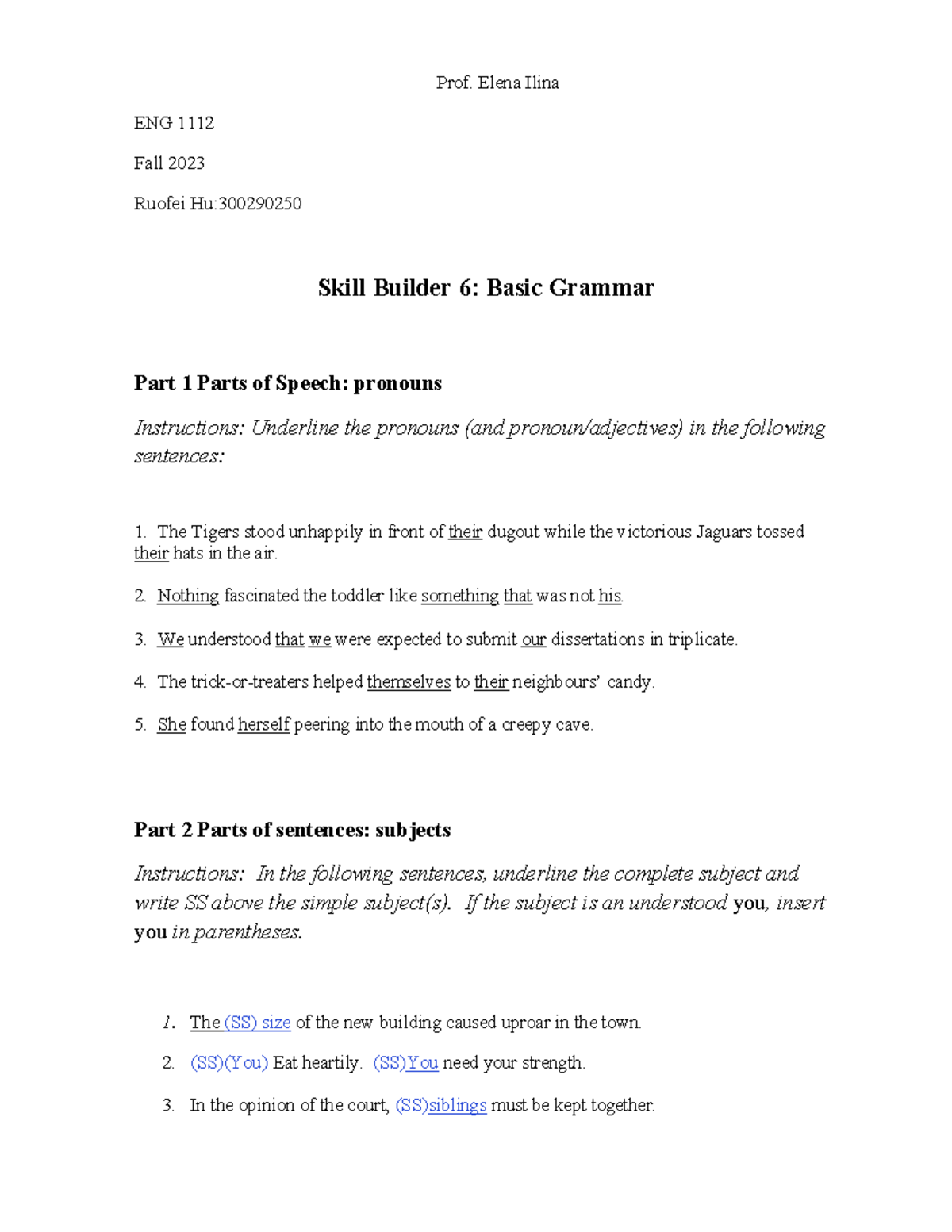 Skill Builder 6 Basic Grammar - ENG 1112 Fall 2023 Ruofei Hu: Skill ...
