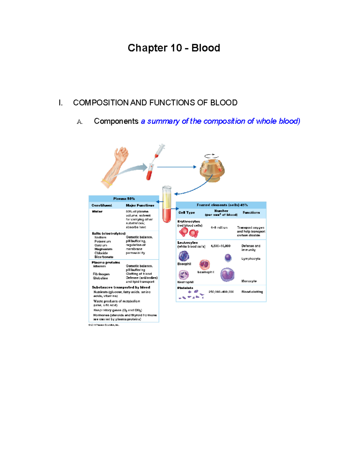 UTF-8''c10lec-136 - nutrition - Chapter 10 - Blood I. COMPOSITION AND ...