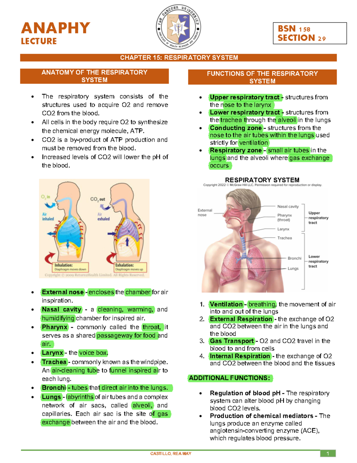 Anaphy chap 15 (r) - Anatomy and Physiology lecture about Respiratory ...