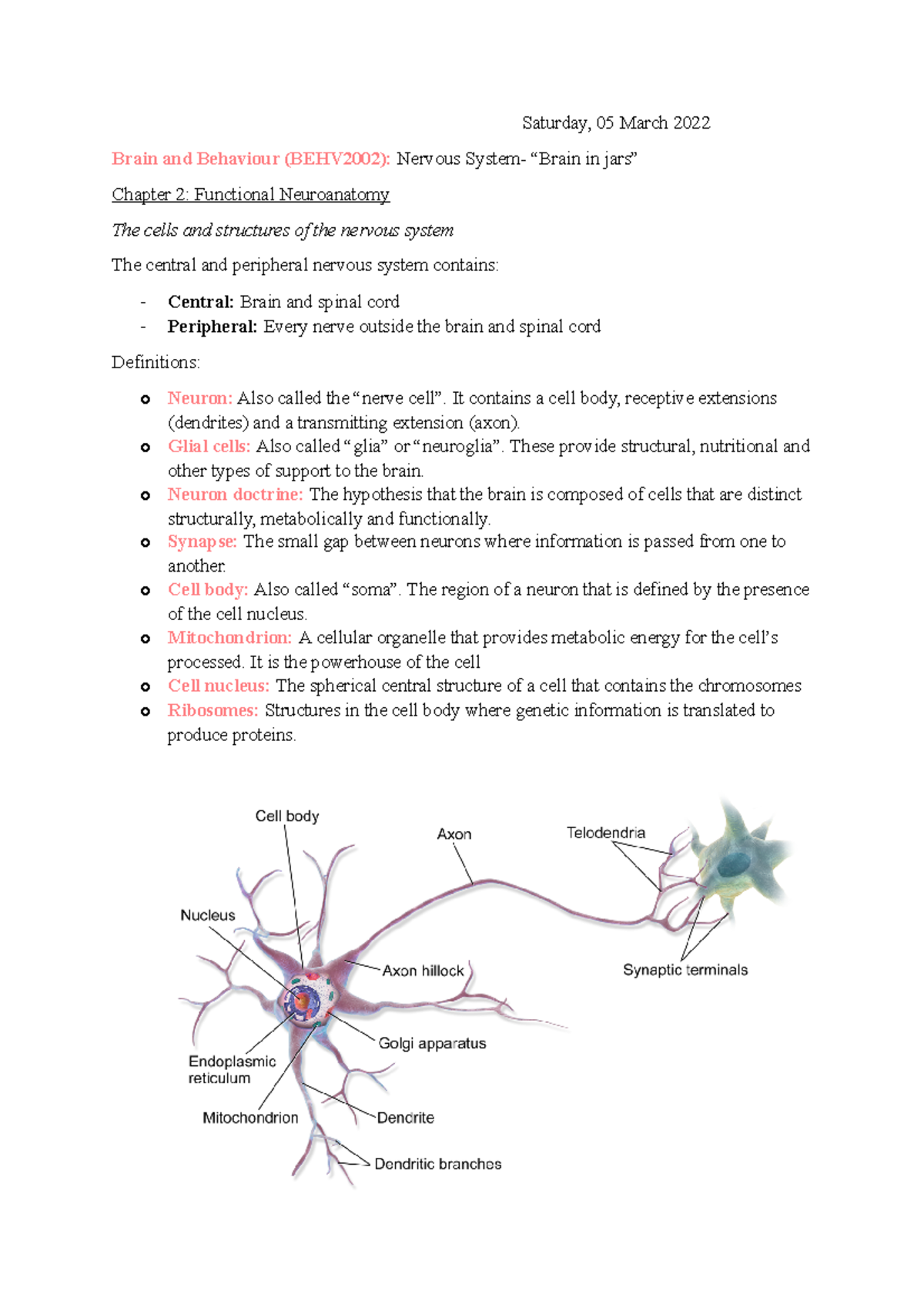 Chapter 2 -Nervous System - Saturday, 05 March 2022 Brain and Behaviour ...