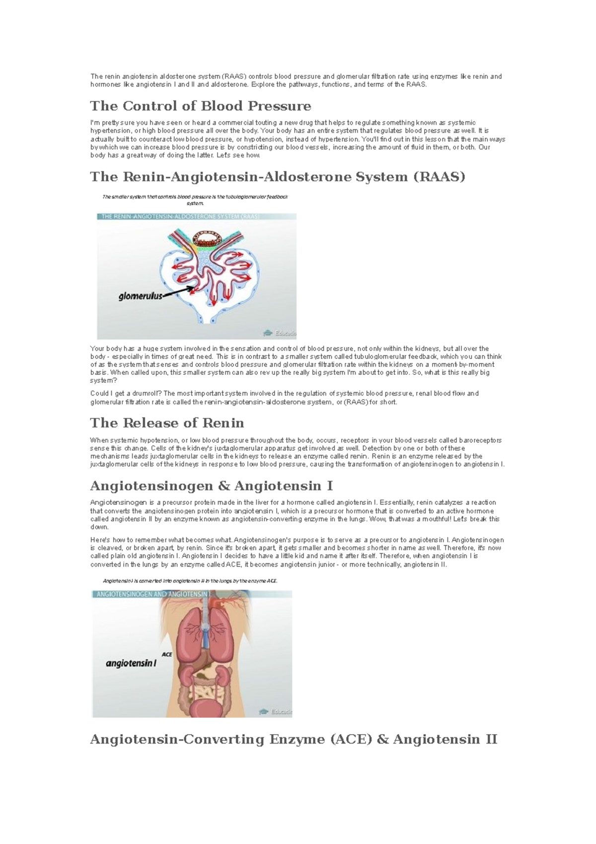 The renin angiotensin aldosterone system RAAS - Explore the pathways, functions, and terms of ...