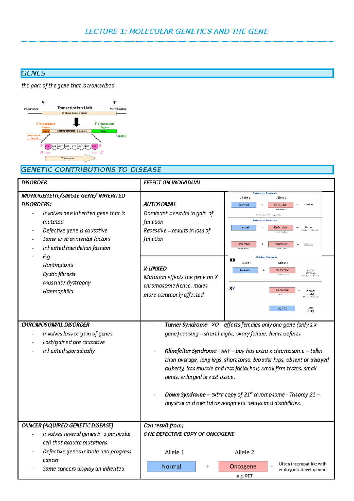 Lecture 1 and 2 - for molecular genetics - BMS211 - Murdoch - Studocu