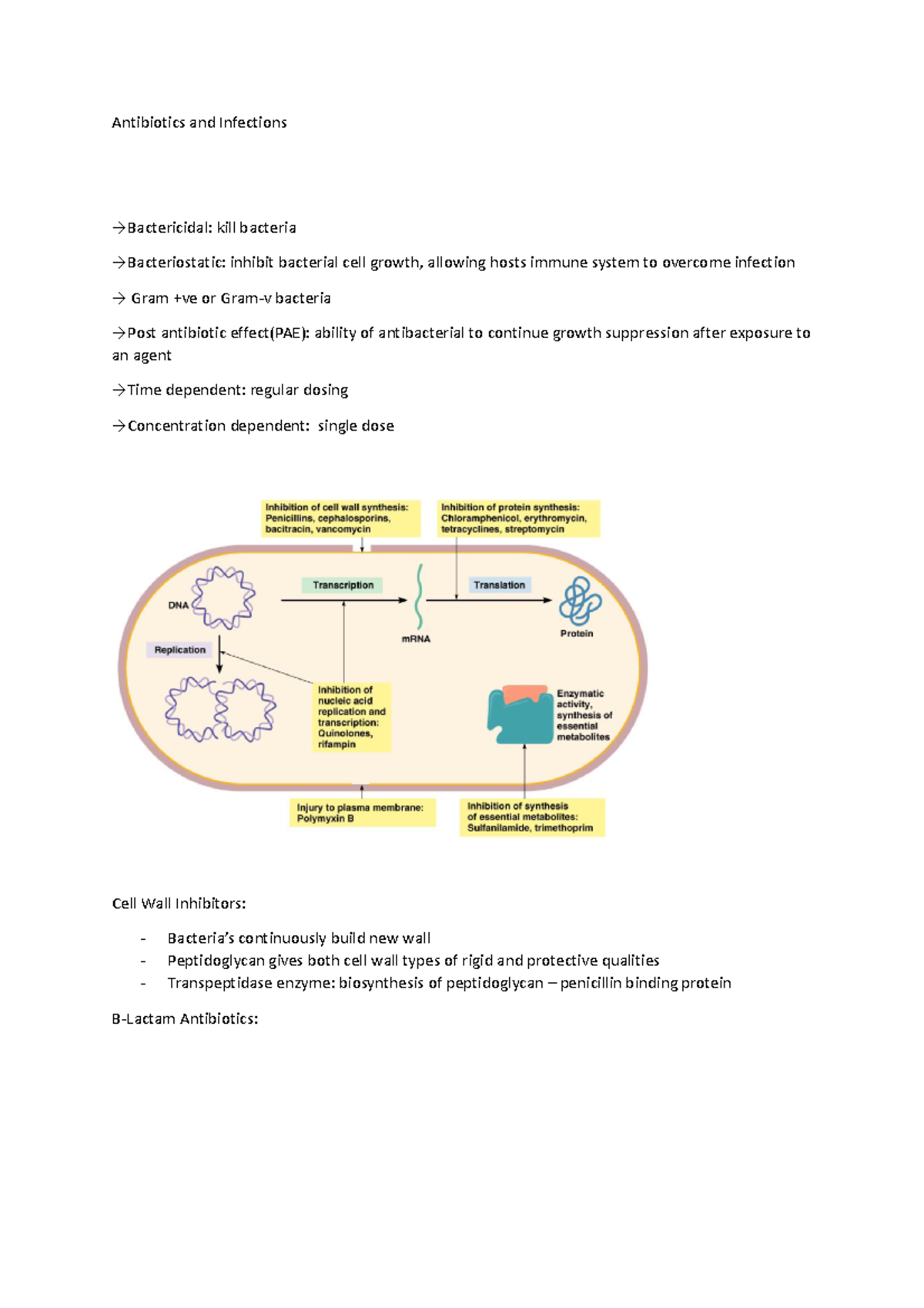 Antibiotics Overview - more detailed version of mechanism of action of different antibiotic ...