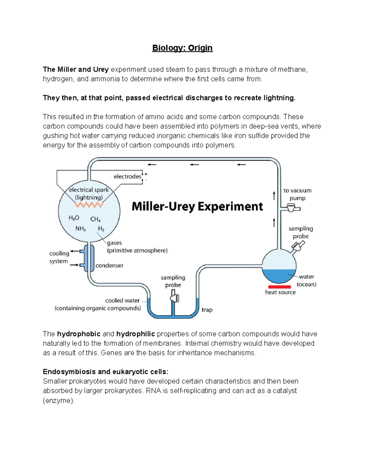 Biology Origin - Biology: Origin The Miller and Urey experiment used ...