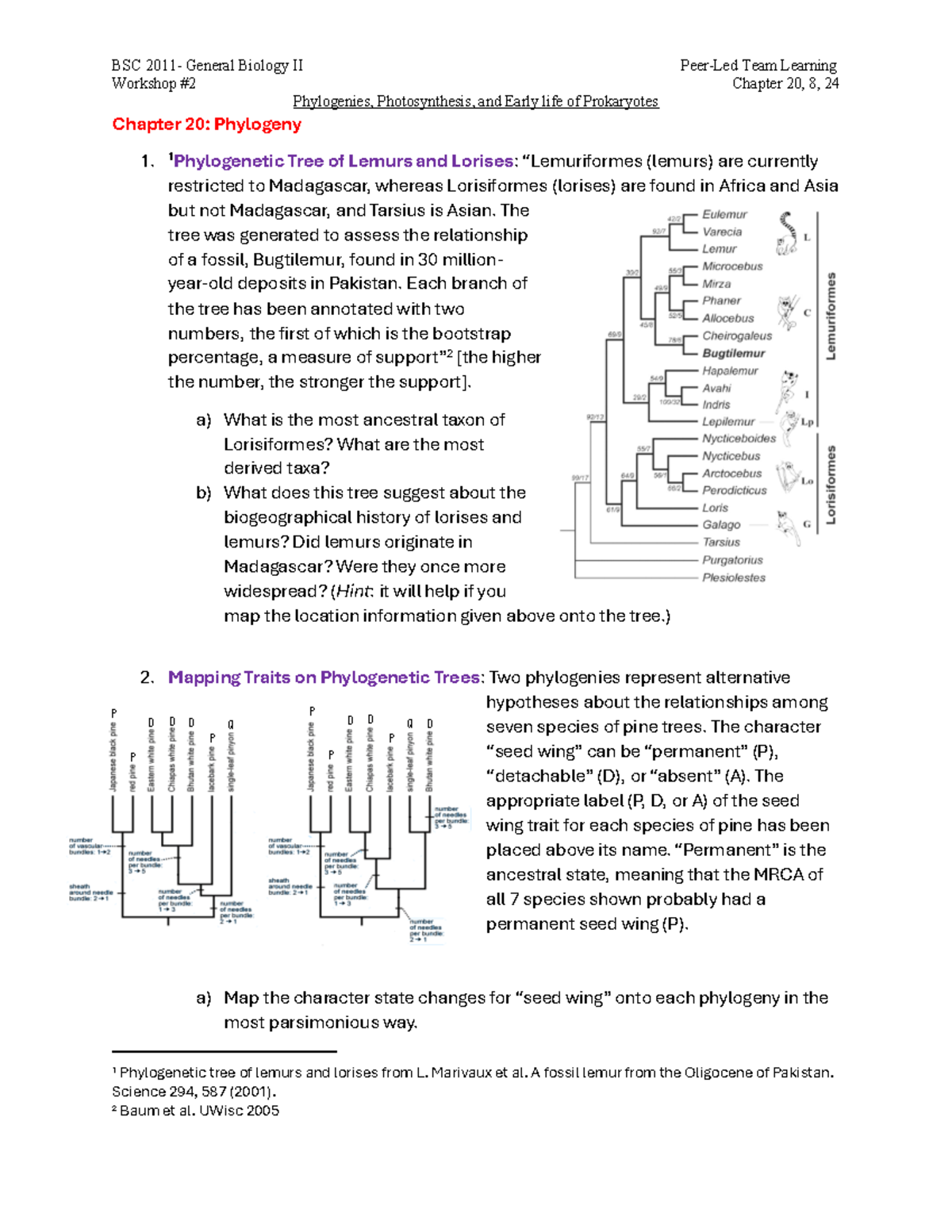 Day 5 Worksheet - BSC 2011- General Biology II Peer-Led Team Learning ...