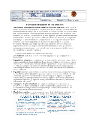 Monograf%C3%ADa+Formato+General - 1 FORMATO PARA LA ELABORACIÓN DE LA ...