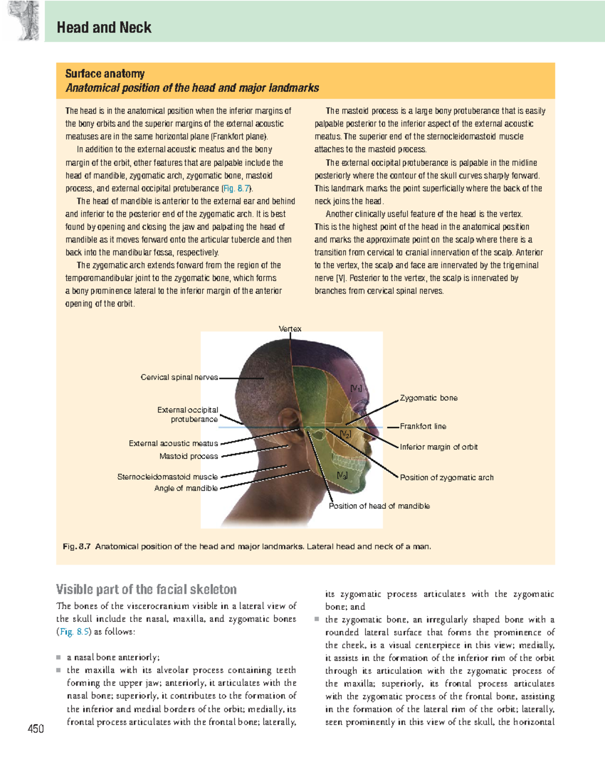 Anatomical position of the head and major landmarks - 450 Head and Neck ...