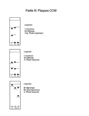 Organigramme Lab 6 - CHM1721 - HCl MgBrOH OH O Br + + + + + HCl ...