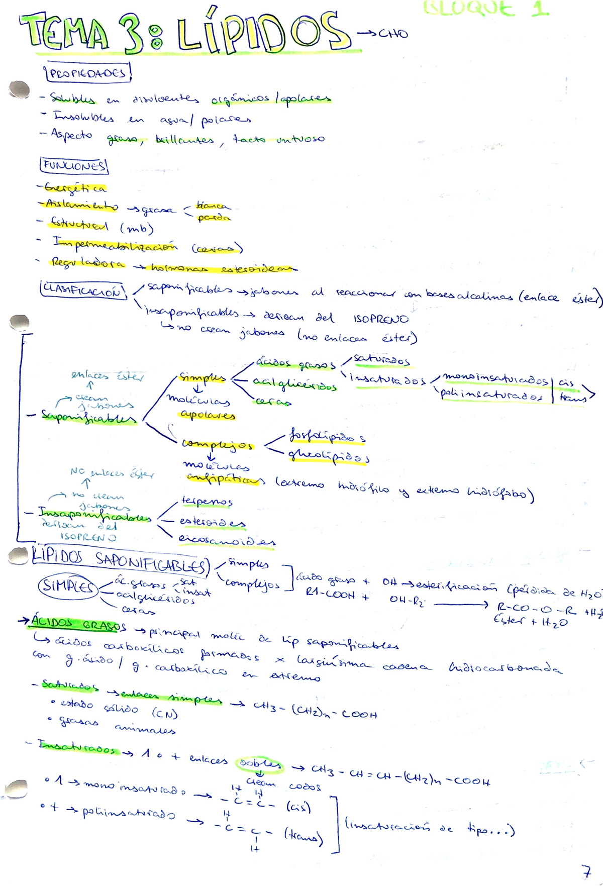 Tema 3- Lípidos - Biología - Studocu