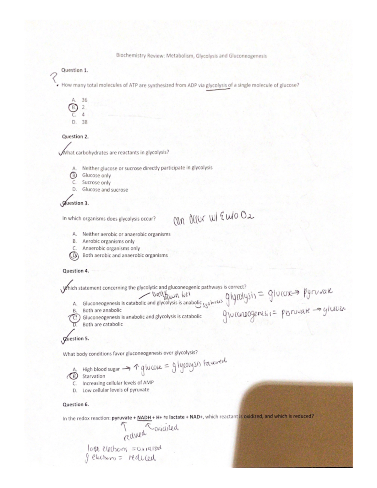 Biochemistry Review Metabolism, Glycolysis and Gluconeogenesis - BIOC ...