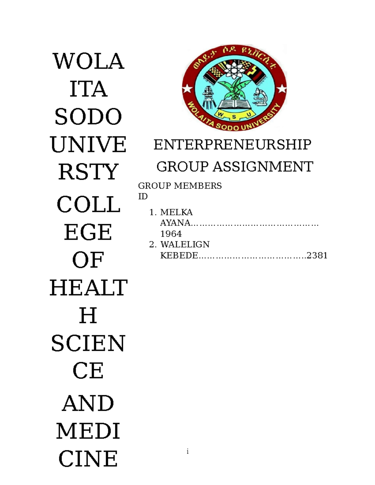 Hibret milk and dairy business project edited financial plan ...