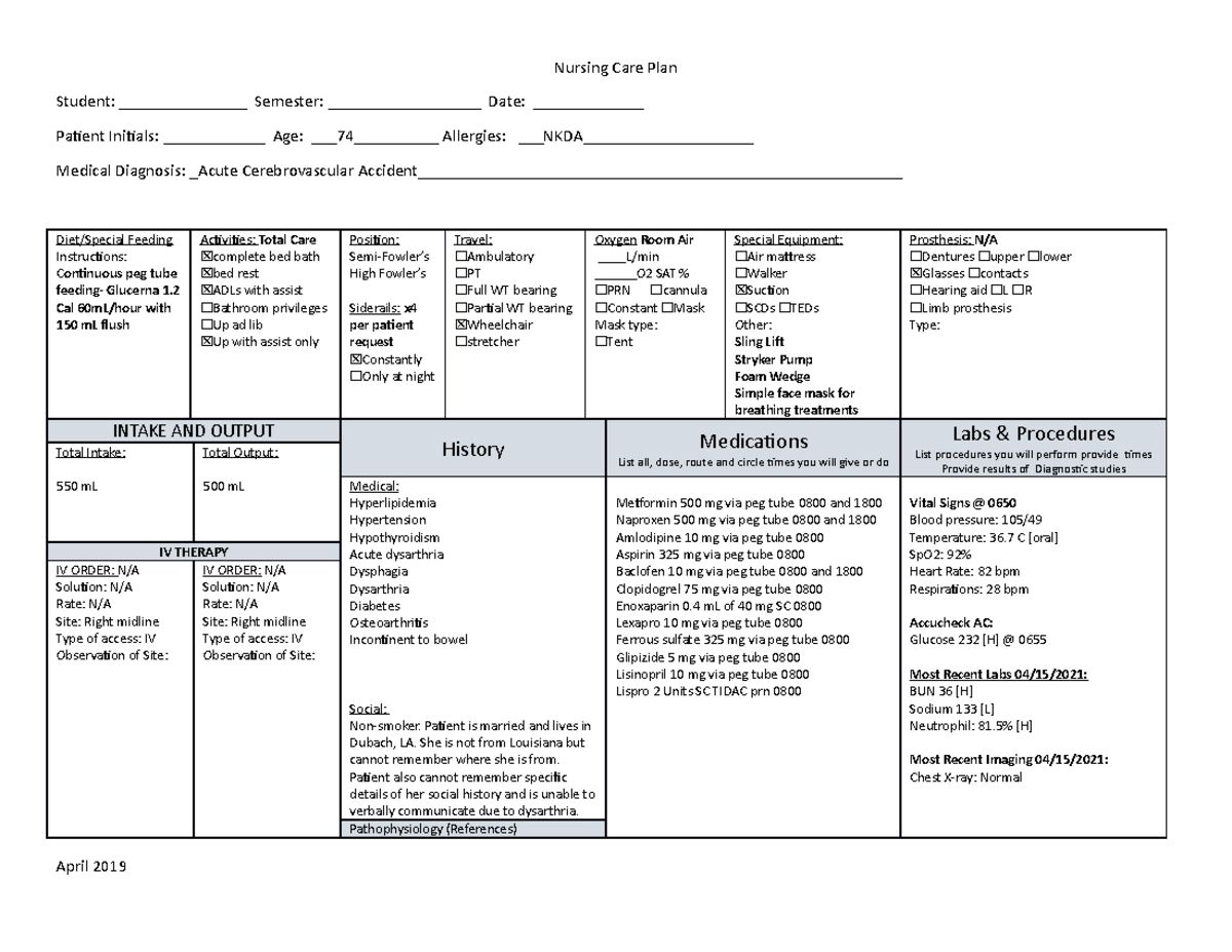 Nursing Care Plan Nursing Care Plan Student Semester