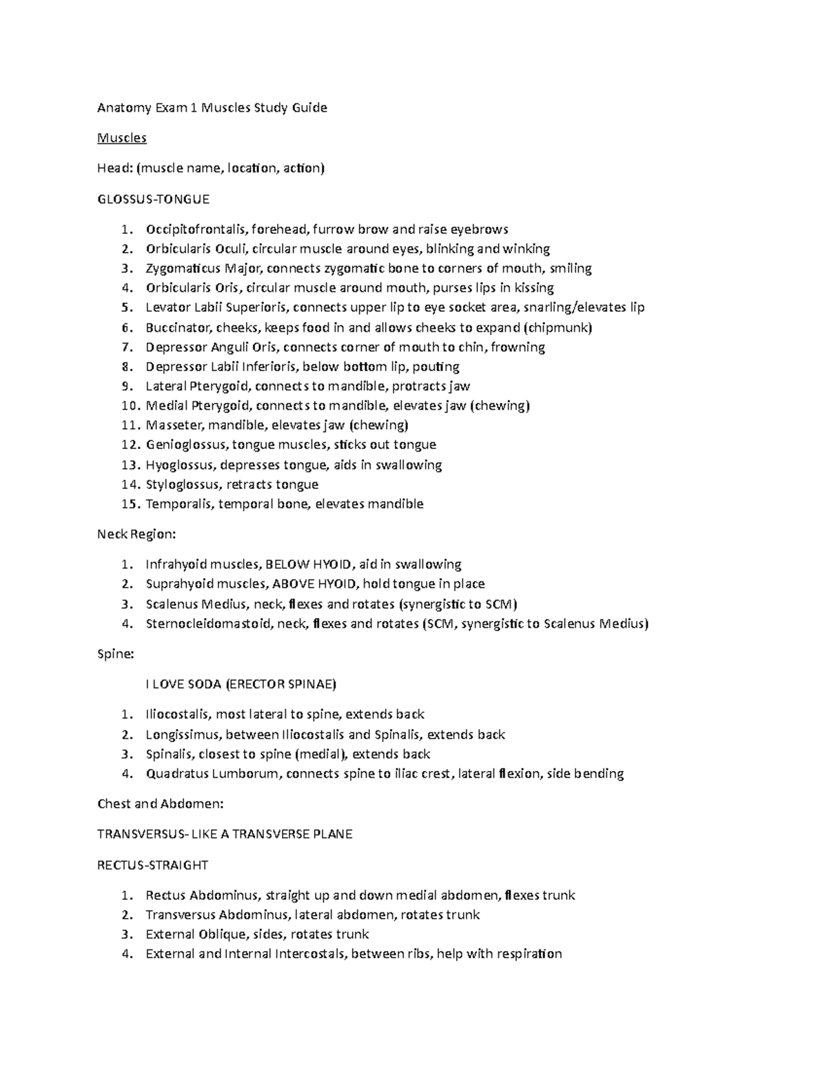Anatomy Muscles Study Guide - Anatomy Exam 1 Muscles Study Guide ...
