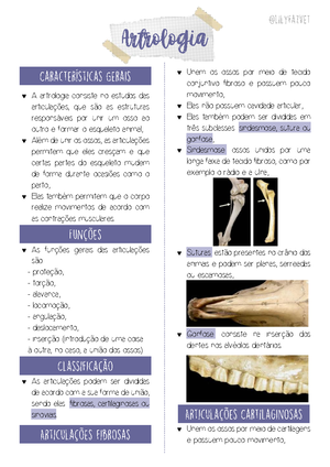 Sistema Ázigo venoso - O sistema um conjunto de veias situadas de cada ...