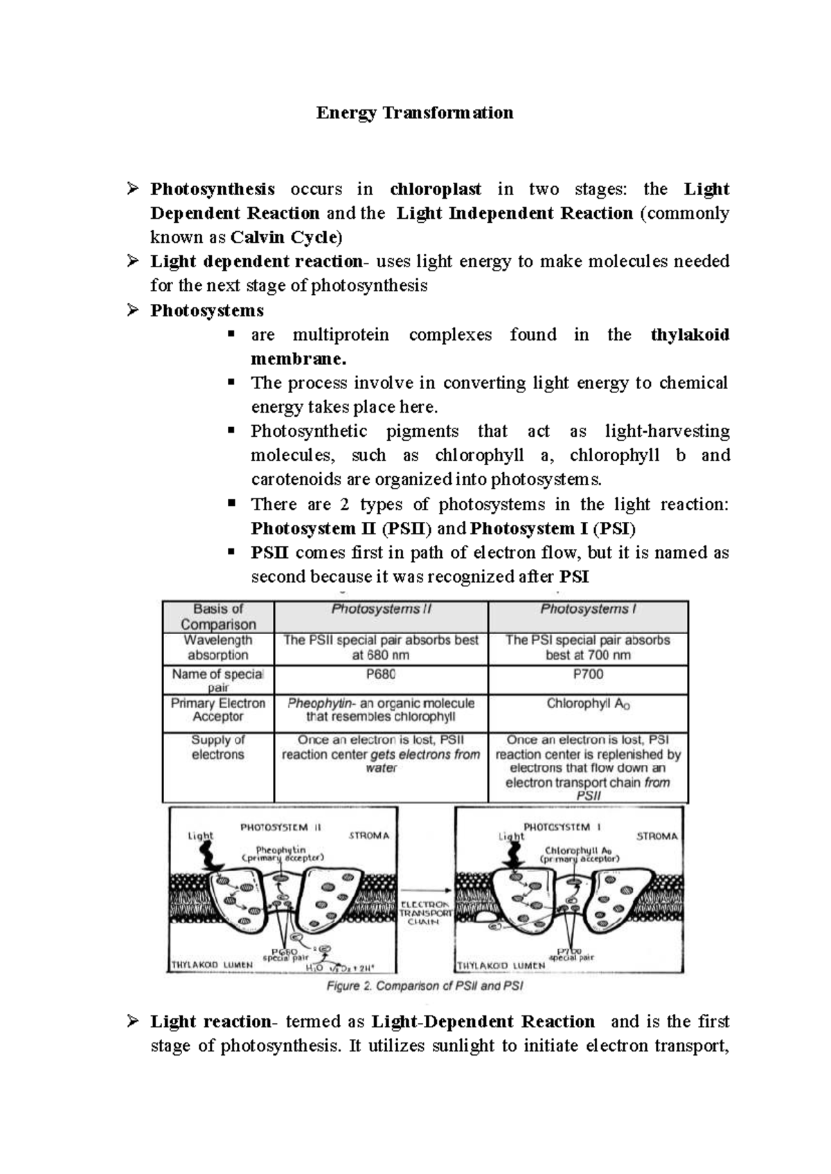 Energy Transformation - GenBio I Notes document - Energy Transformation ...
