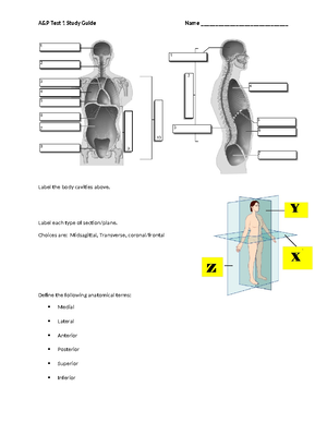 Integumentary System Layersofthe Skin Poster Project-1-1 - INDIVIDUAL ...