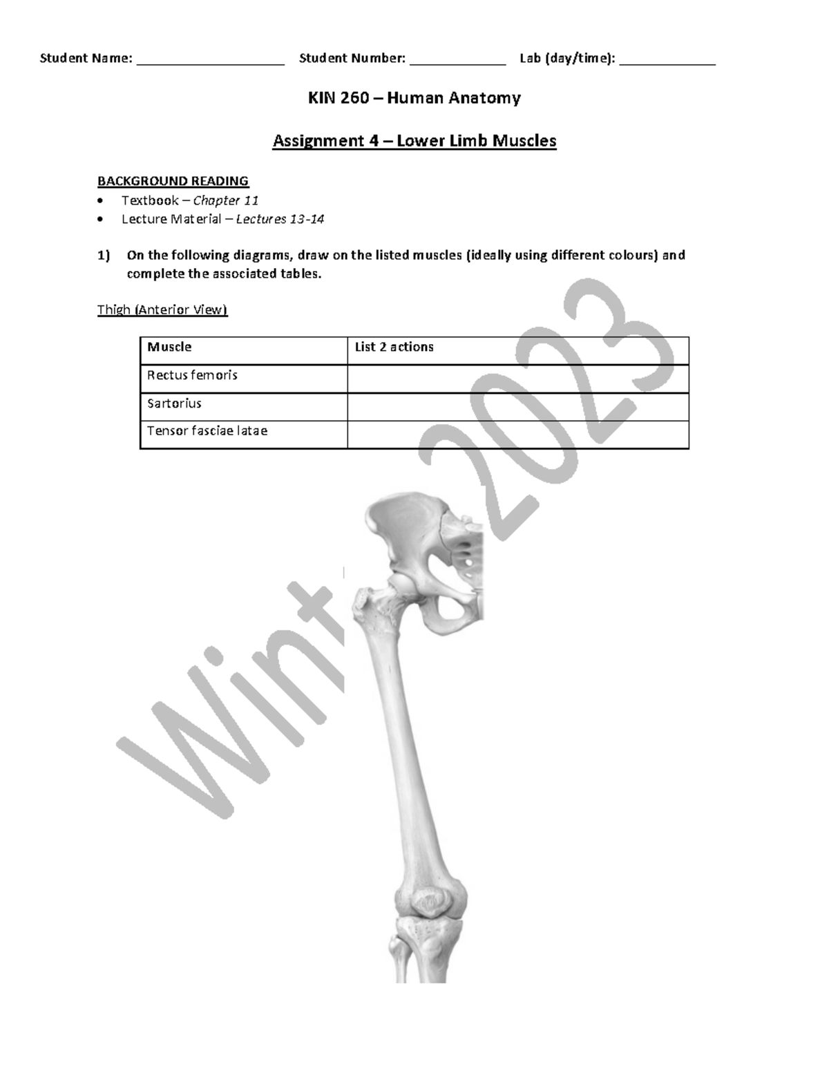 Lab 4 - Assignment - Lab 4 Practice - Student Name: ____________________ Student Number: - Studocu