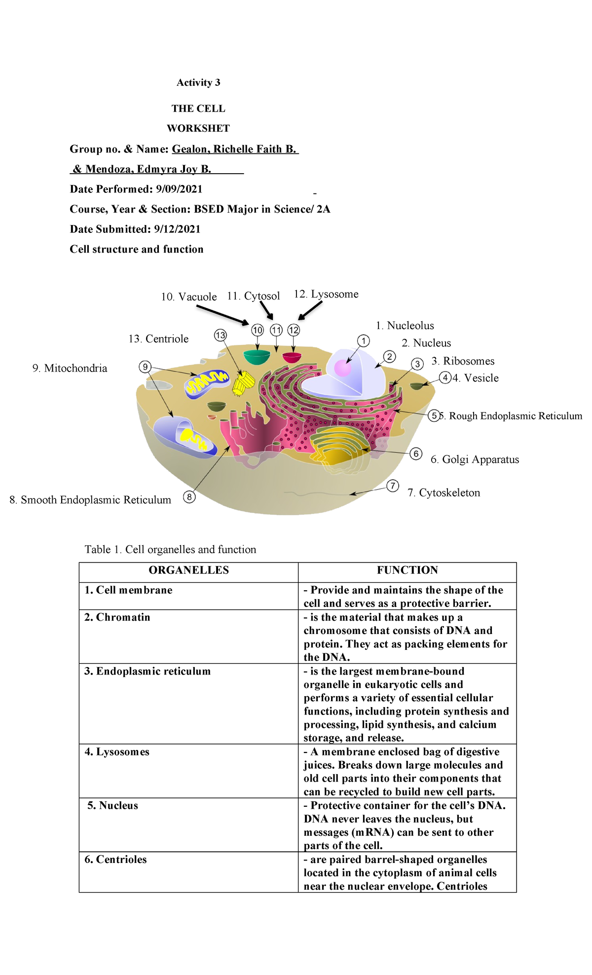 Activity 3 EDZ Faith - about cellmol - Fig. 1 Structures of a typical ...