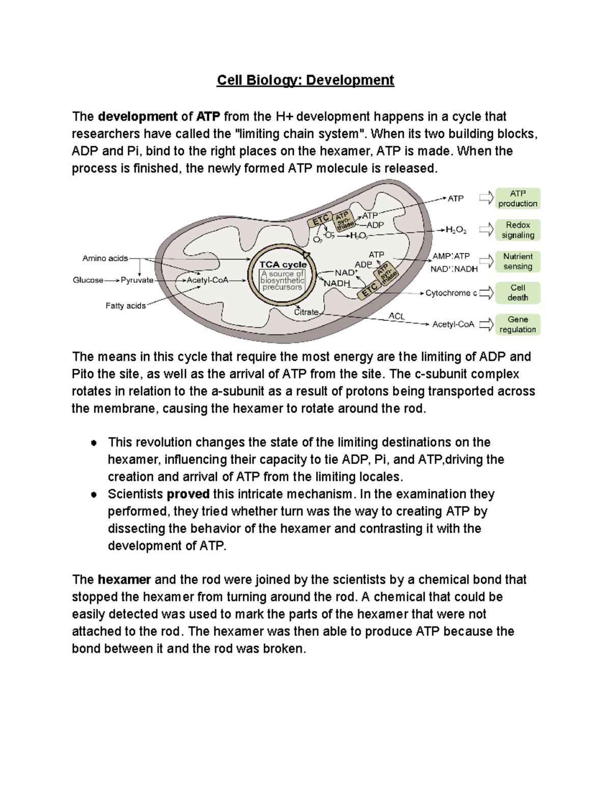 Cell Biology Development - When its two building blocks, ADP and Pi ...