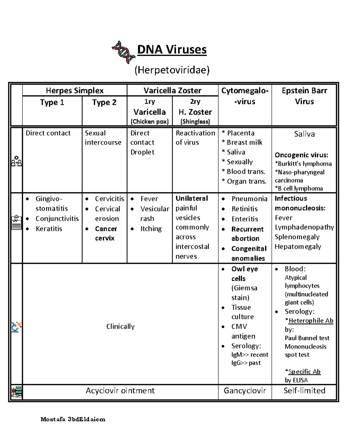 Systemic Virology - Medical microbiology - DNA Viruses (Herpetoviridae ...