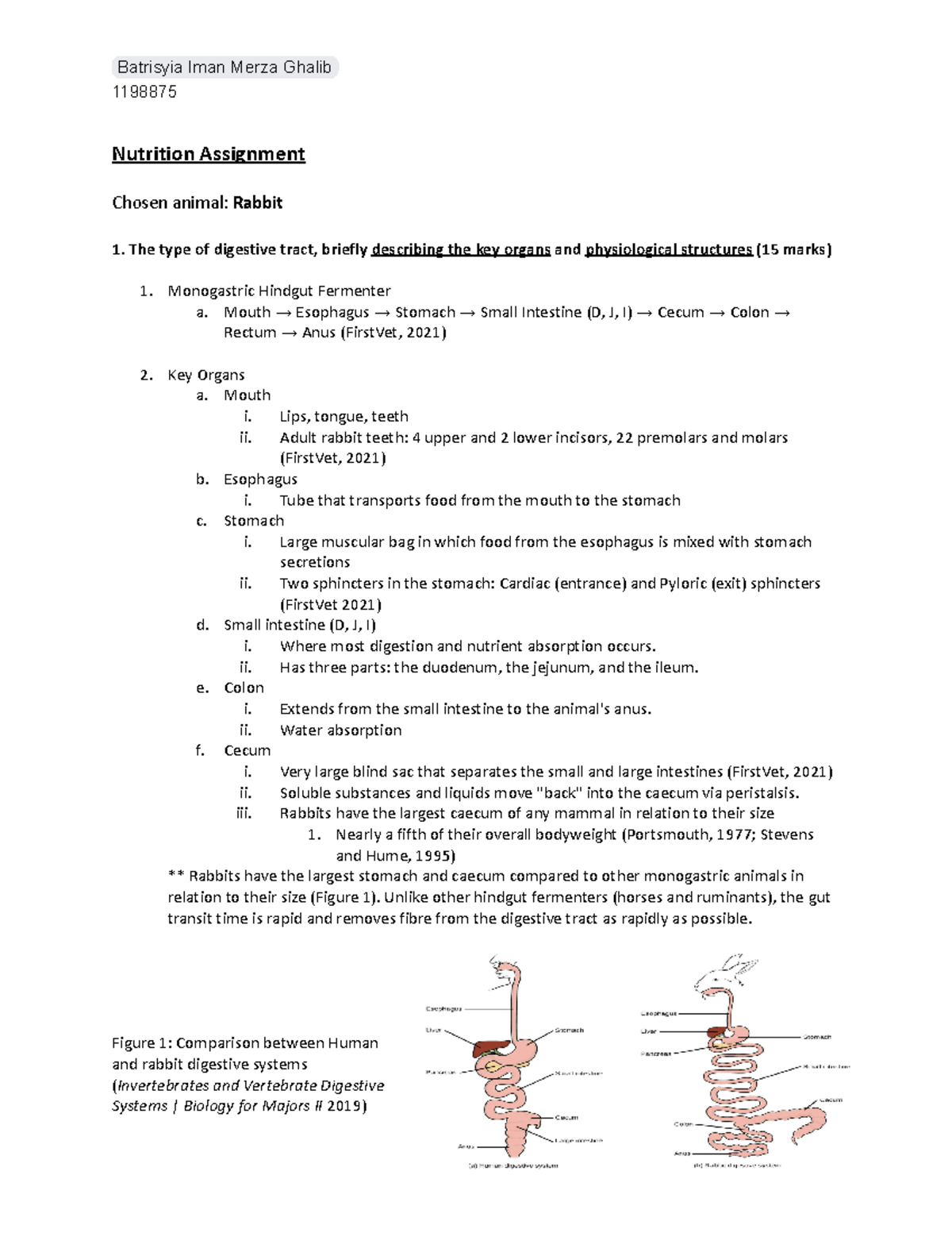 Nutrition Assignment Final - 1198875 Nutrition Assignment Chosen animal ...