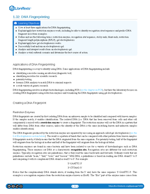 MBA 2nd Year Syllabus - Gbbbbb - Evaluation Scheme & Syllabus for MBA ...