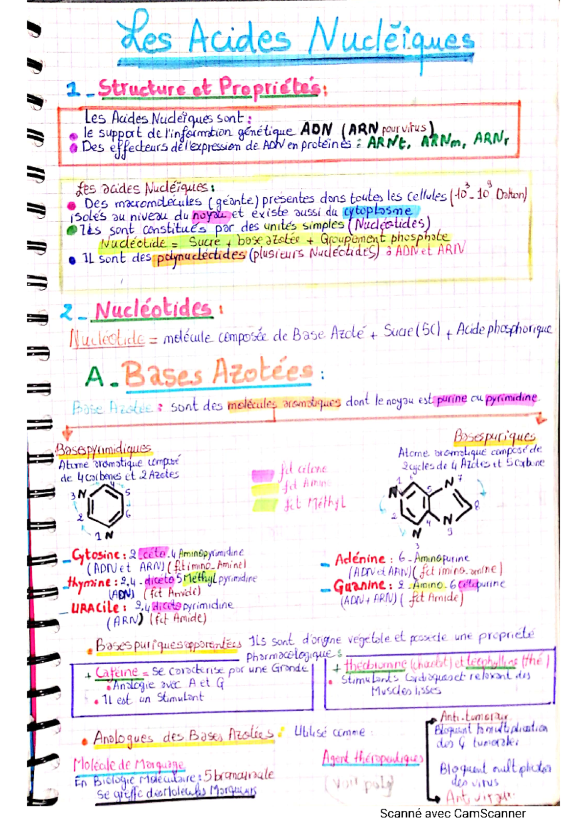 Acides nucléiques - Biochemistry - Studocu