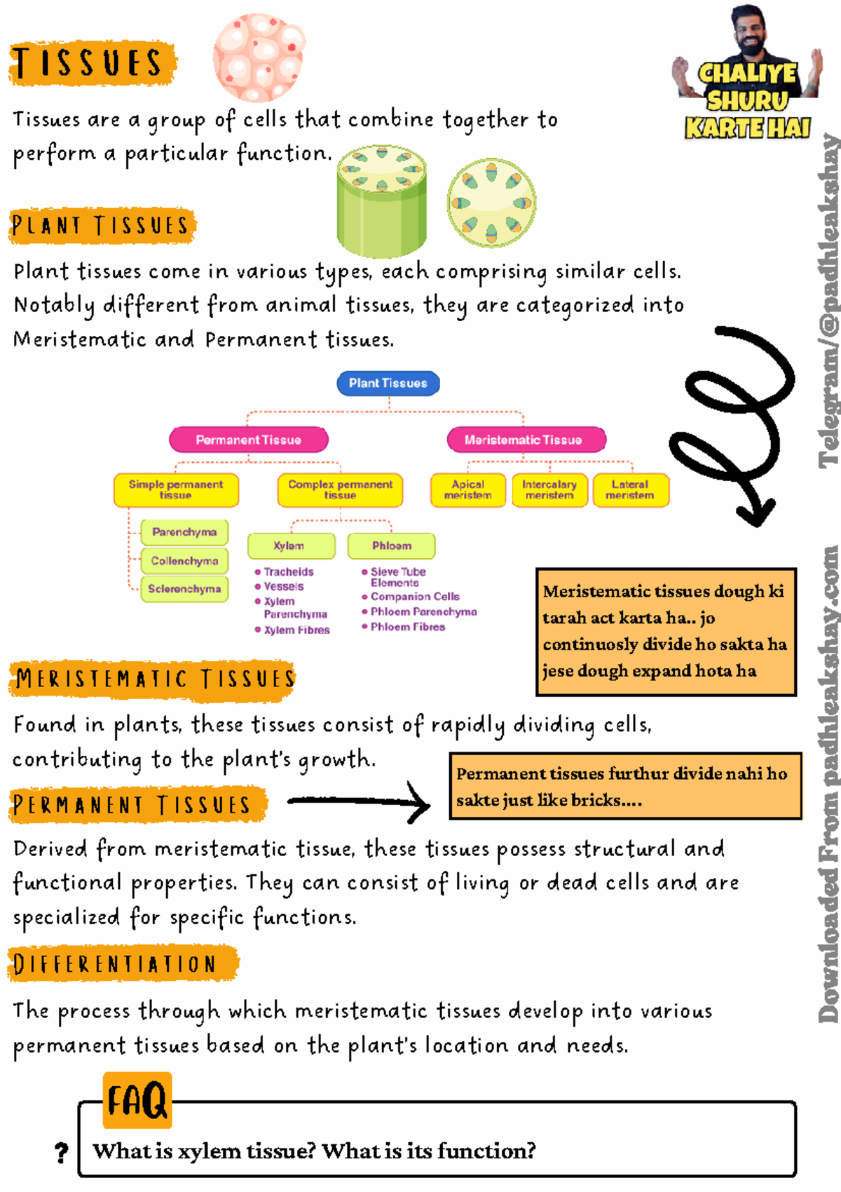 Tissues - Study with these notes to score 90+ - Tissues are a group of ...