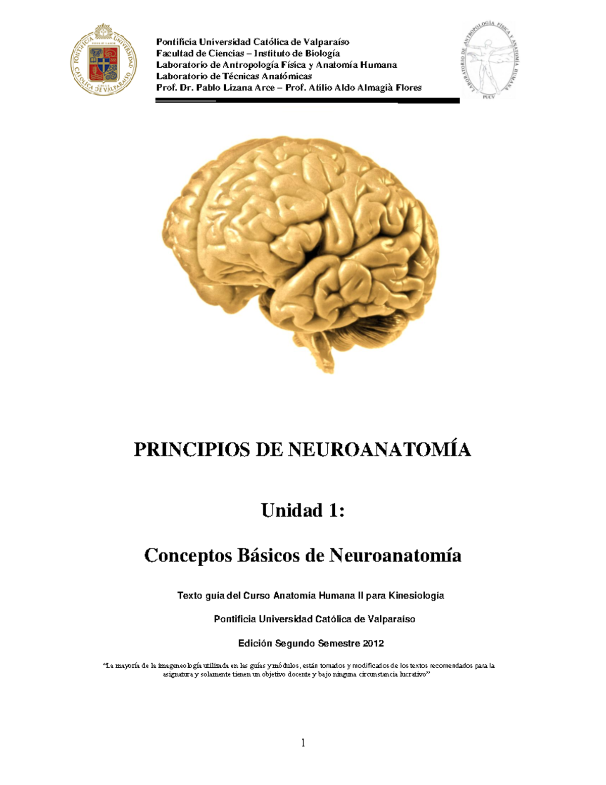 Conceptos básicos de neuroanatomía - Facultad de Ciencias – Instituto ...