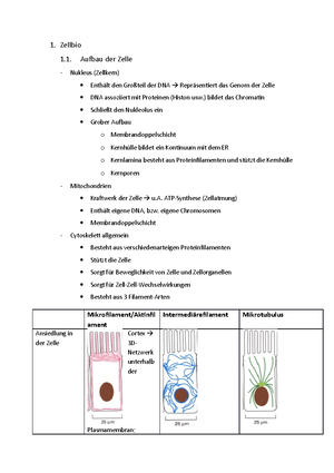 1 Was ist Leben Kennzeichen der Lebewesen - 17 1 Was ist Leben? In ...